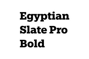 Egyptian Slate Pro Bold Font - Free Font Download