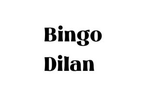 Bingo Dilan Font - Free Font Download