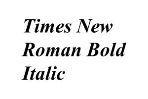 Times New Roman Bold Italic Font - Free Font Download