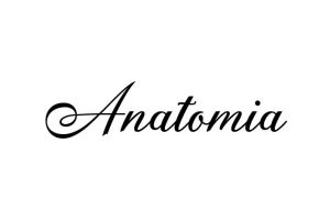 Anatomia Font - Free Font Download
