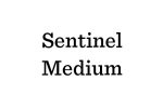 Sentinel Medium Font - Free Font Download