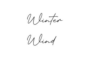 Winter Wind Font - Free Font Download