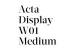 Acta Display W01 Medium Font - Free Font Download