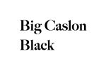 Big Caslon Black Font - Free Font Download