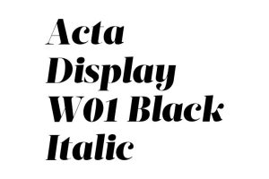 Acta Display W01 Black Italic Font - Free Font Download