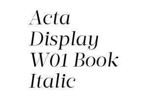 Acta Display W01 Book Italic Font - Free Font Download