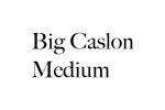 Big Caslon Medium Font - Free Font Download