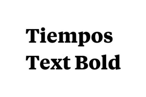 Tiempos Text Bold Font - Free Font Download