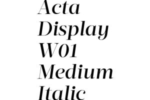 Acta Display W01 Medium Italic Font - Free Font Download