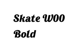Skate W00 Bold Font - Free Font Download