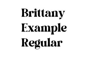 Brittany Example Regular Font - Free Font Download