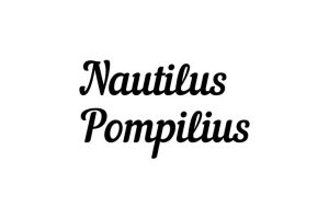 Nautilus Pompilius Font - Free Font Download