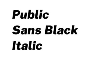 Public Sans Black Italic Font - Free Font Download