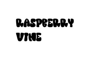 Raspberry Vine Font - Free Font Download