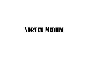 Norten Medium Font - Free Font Download