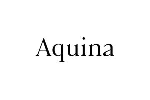 Aquina Font - Free Font Download