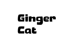 Ginger Cat Font - Free Font Download