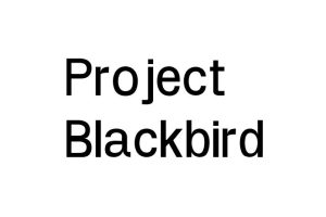 Project Blackbird Font - Free Font Download