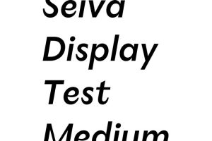 Seiva Display Test Medium Font - Free Font Download