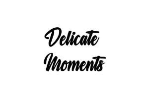 Delicate Moments Font - Free Font Download