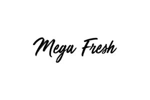 Mega Fresh Font - Free Font Download
