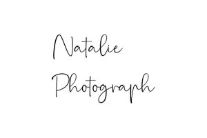 Script Fonts - Graphic Design Fonts