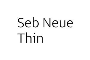 Seb Neue Thin Font - Free Font Download