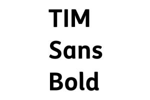 TIM Sans Bold Font - Free Font Download