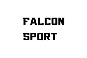 Falcon Sport Font - Free Font Download