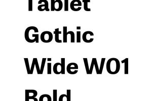 Tablet Gothic Wide W01 Bold - Free Font Download