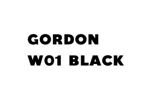 Gordon W01 Black Font - Free Font Download