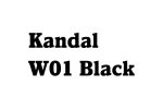 Kandal W01 Black Font - Free Font Download