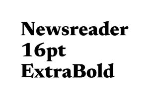 Newsreader 16pt ExtraBold Font - Free Font Download