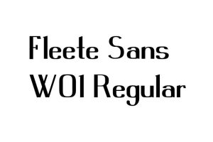 Fleete Sans W01 Regular Font - Free Font Download