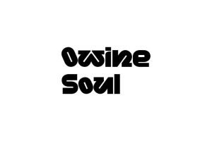 Owine Soul Font - Free Font Download