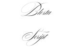 Blosta Script Font - Free Font Download